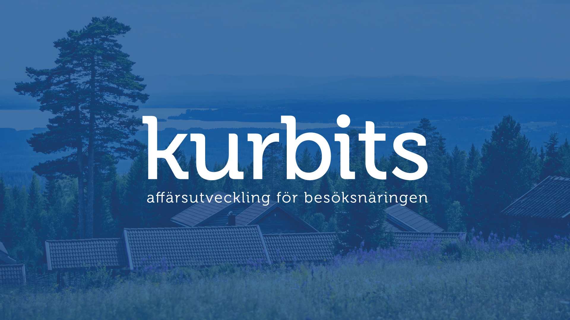 Kurbits intäktsoptimering | Visit Dalarna