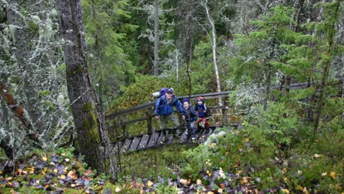 Trolldalen | Visit Dalarna